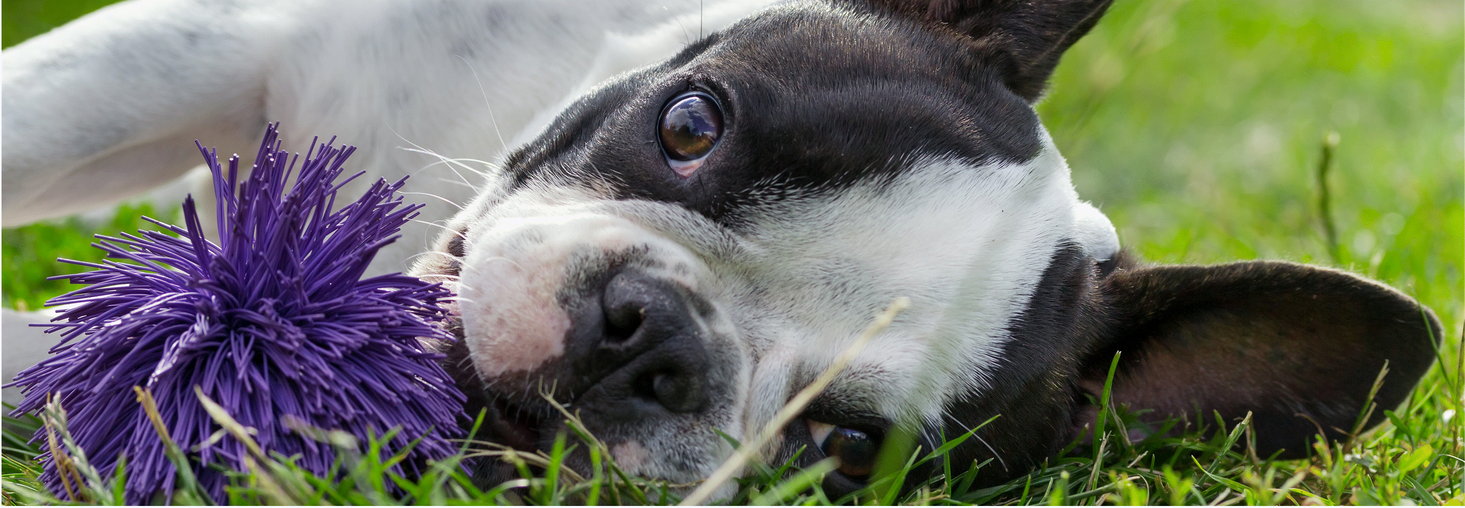 PLAY – Baxter Bailey & Company