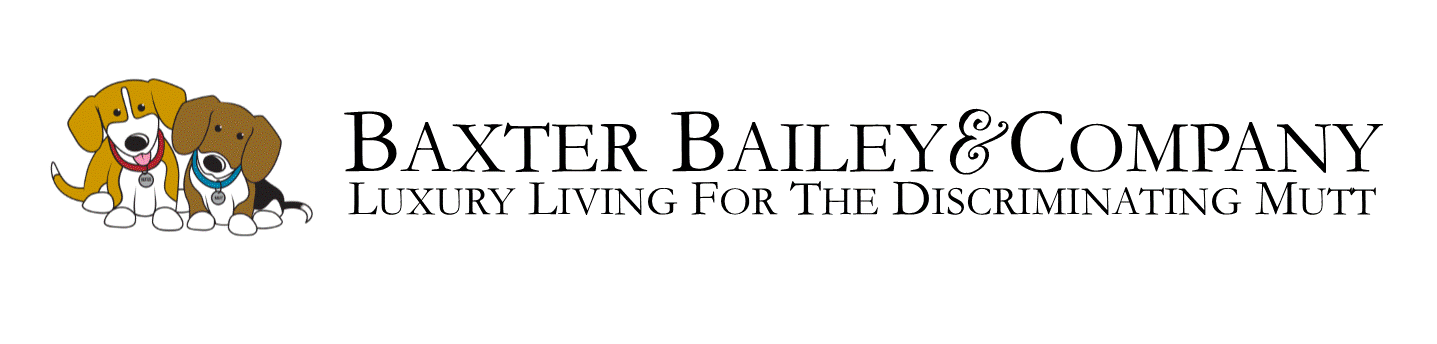 Dog Bakery & Ice Creamery in Nashville | Baxter Bailey & Company